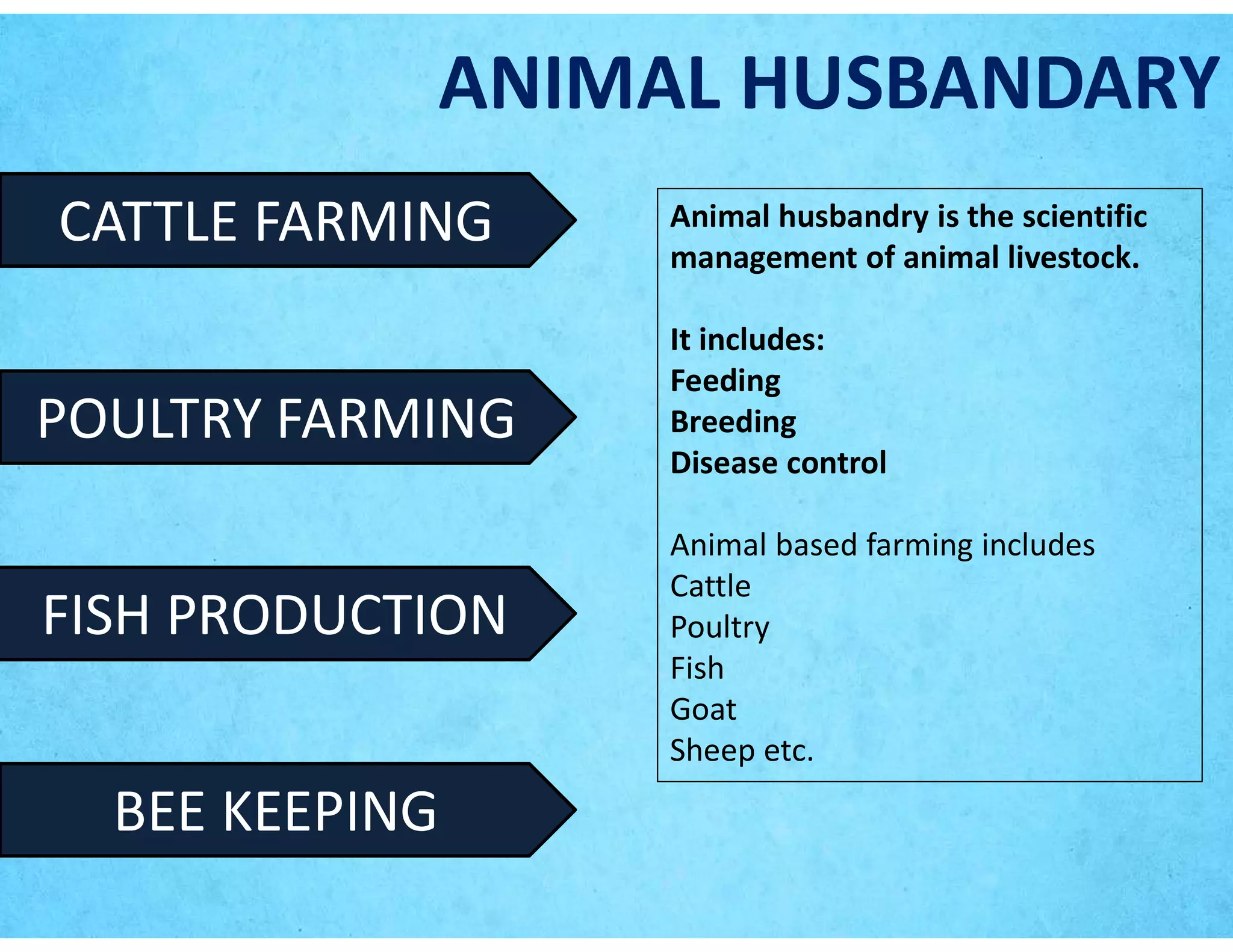 CLASS 9 Chapter 15 improvement in food resources | PDF