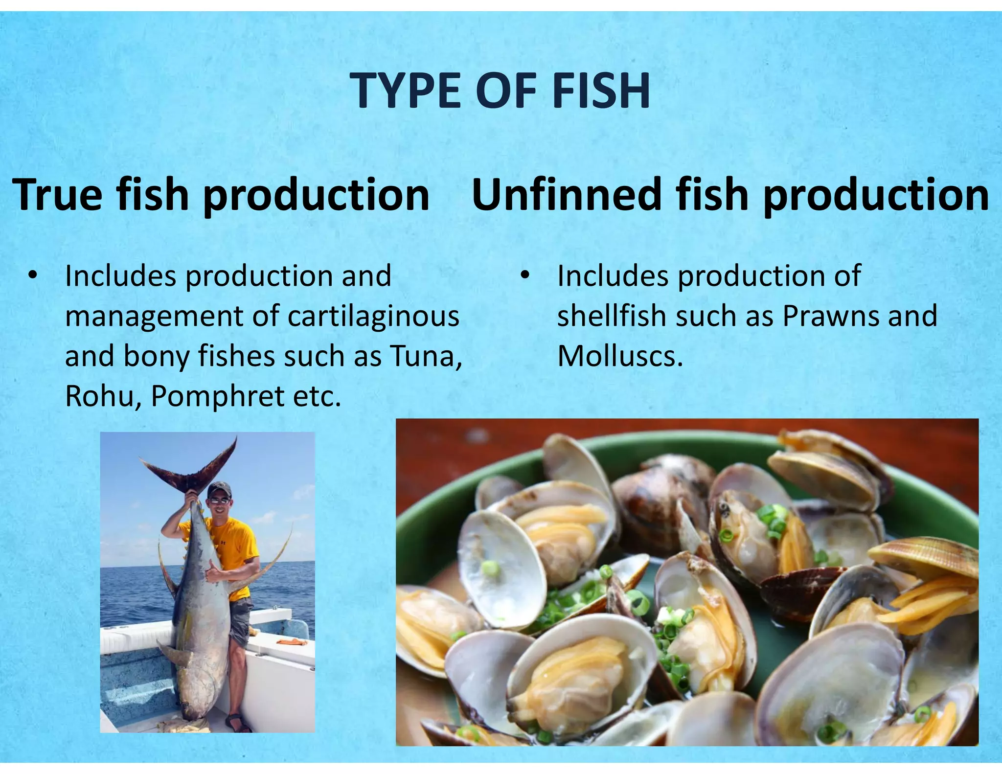 CLASS 9 Chapter 15 improvement in food resources | PDF