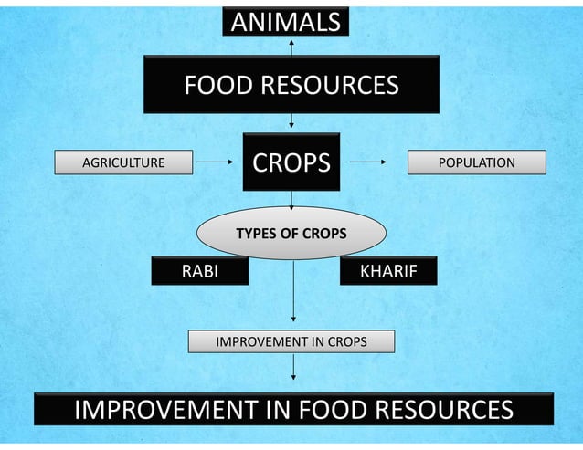 CLASS 9 Chapter 15 improvement in food resources | PDF | Agriculture ...