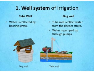 CLASS 9 Chapter 15 improvement in food resources | PDF