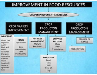 CLASS 9 Chapter 15 improvement in food resources | PPT