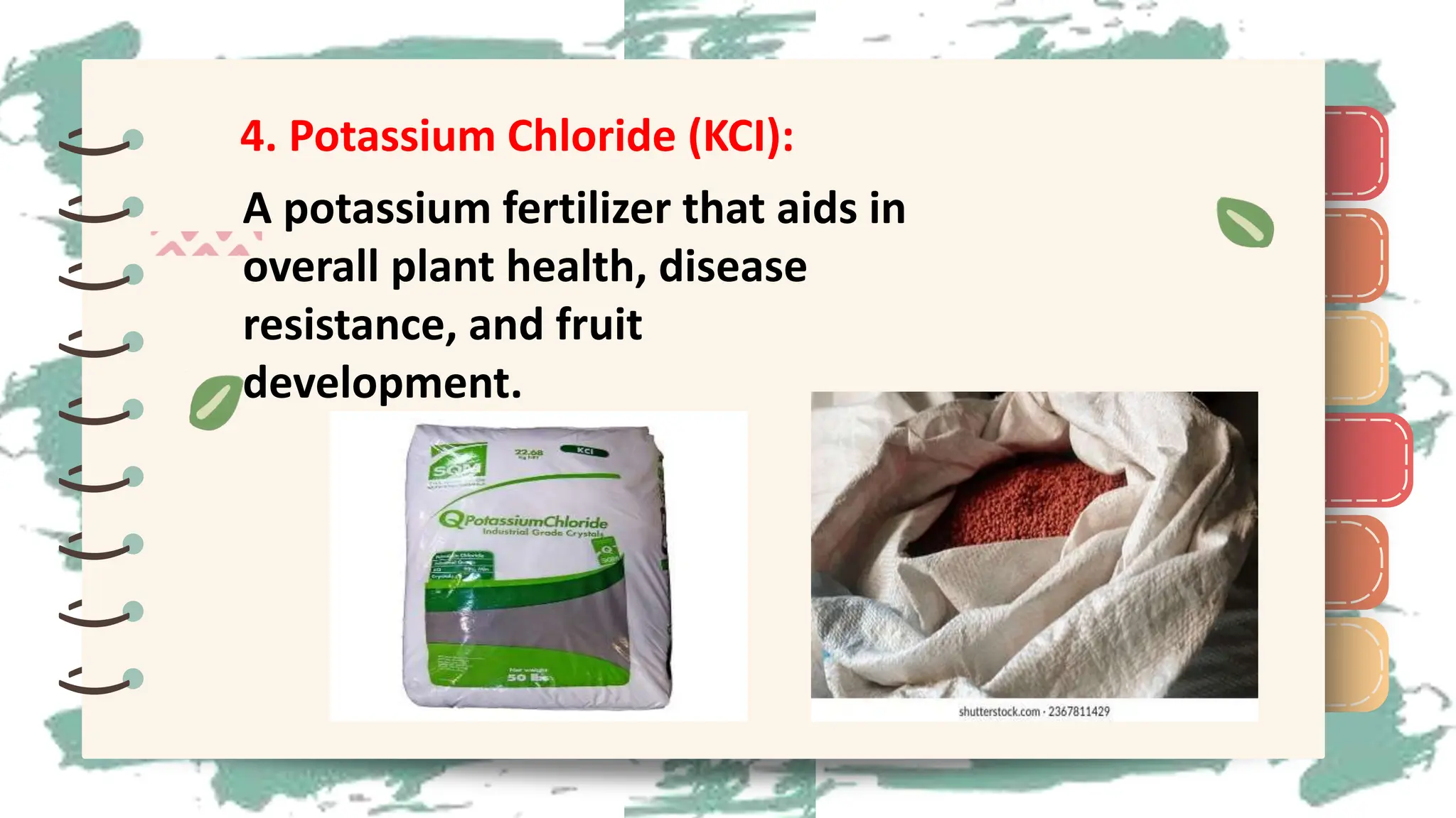 inorganic fertilizer.pptx