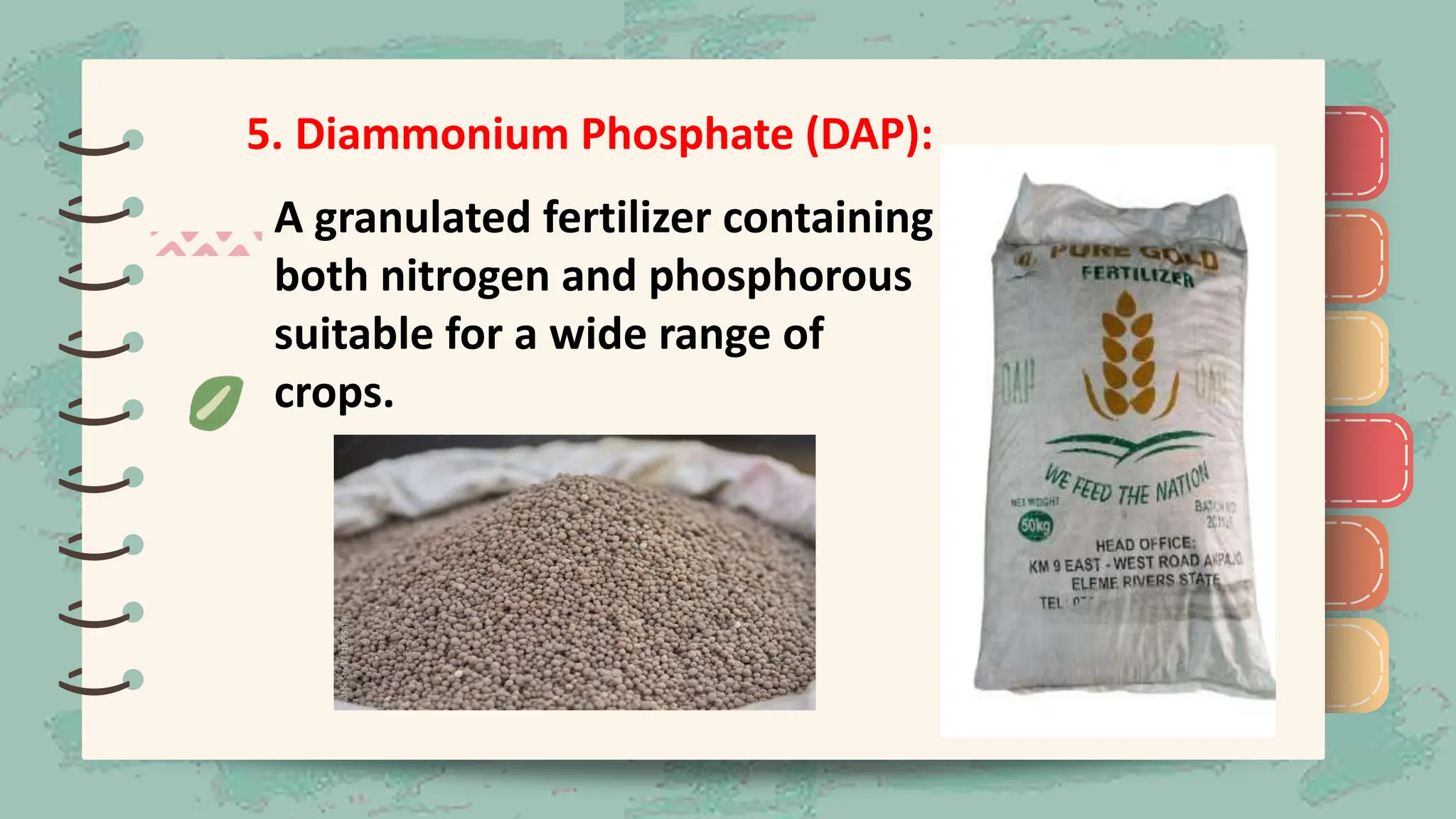 inorganic fertilizer.pptx