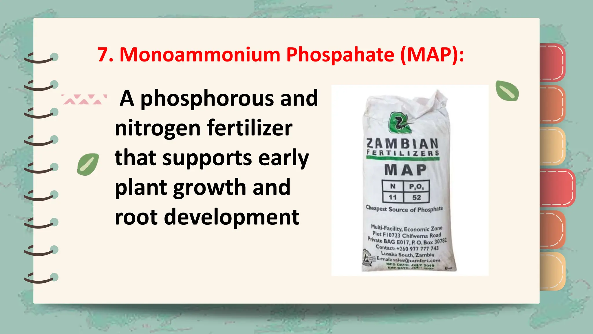 inorganic fertilizer.pptx