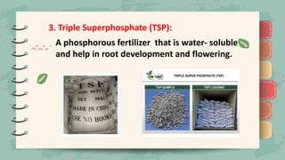 Chapter 15 inorganic fertilizer.pptx