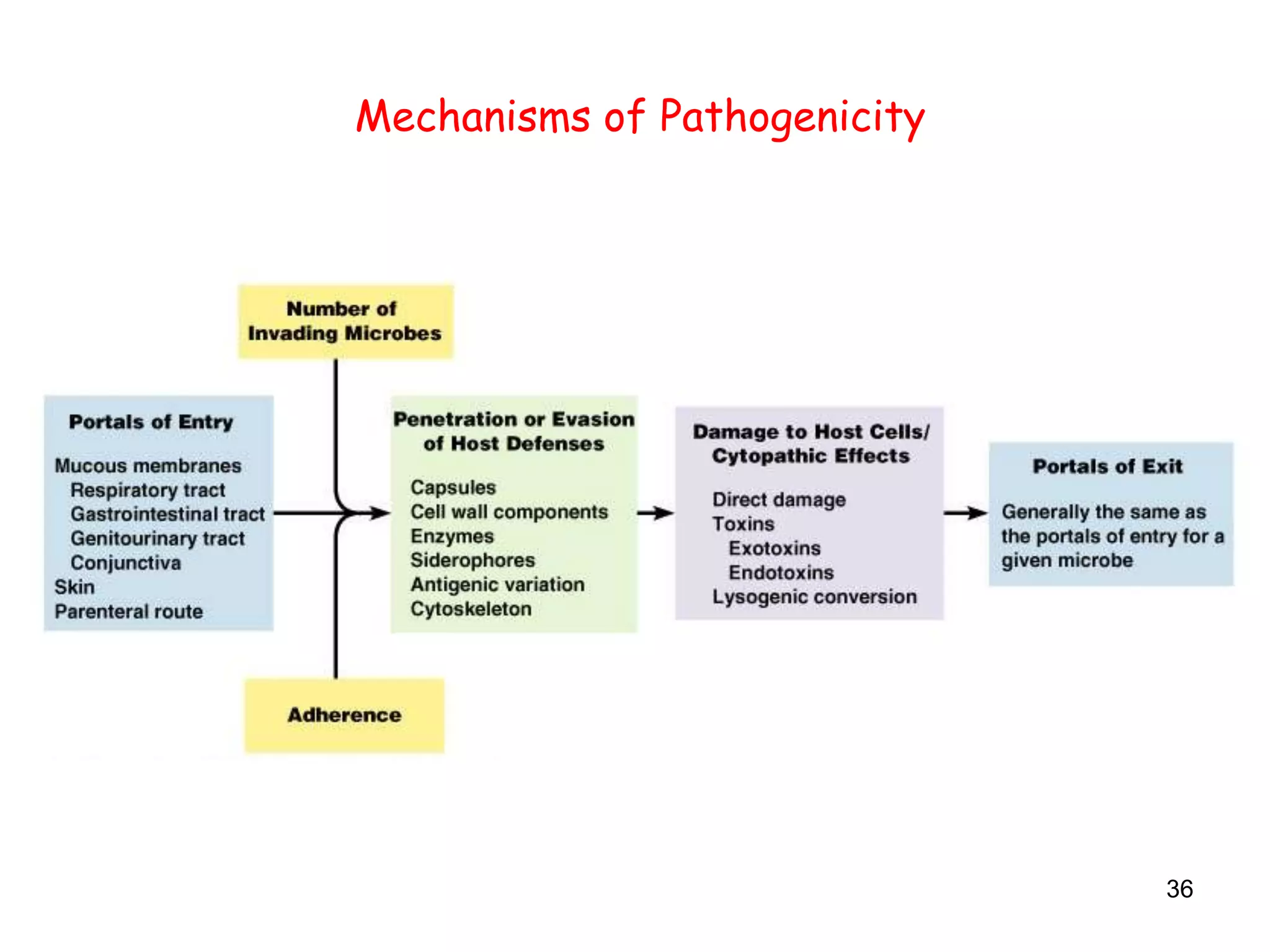 Chapter 15 microbial pathogenicity | PPT