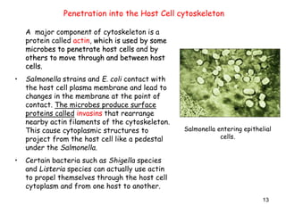 Chapter 15 microbial pathogenicity | PPT