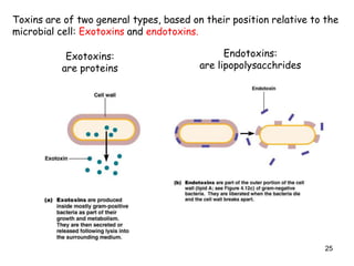 Chapter 15 microbial pathogenicity | PPT