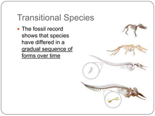 Chapter 15 notes cp | PPT