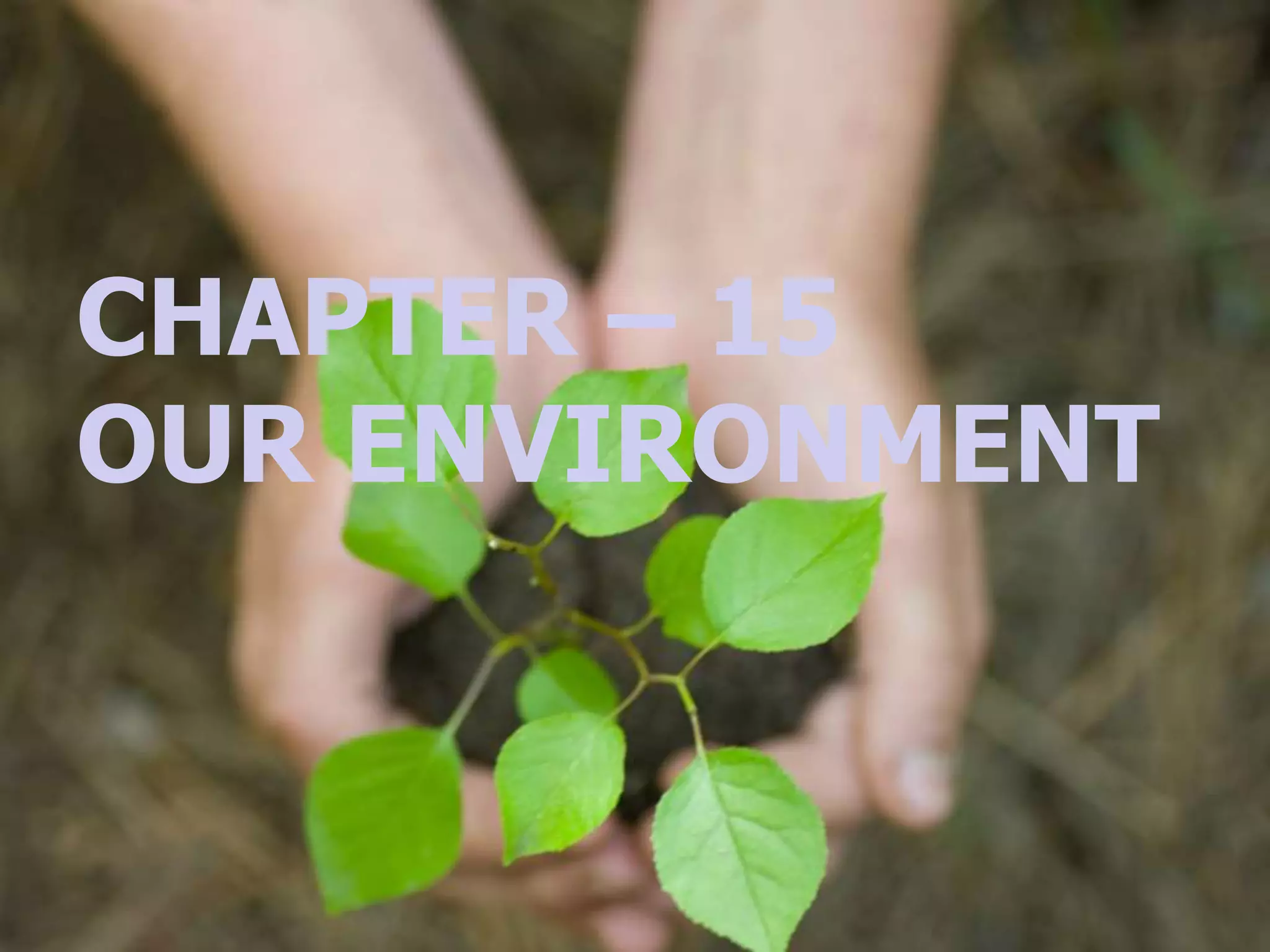 Chapter 15 our environment | PPTX