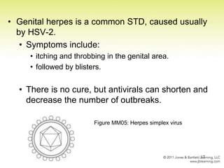 Viral Infections of the Respiratory Tract and Skin | PPT