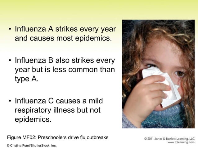 Viral Infections of the Respiratory Tract and Skin | PPT