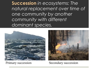 BIOLOGY Chapter 16: Changes In Ecosystems | PPT