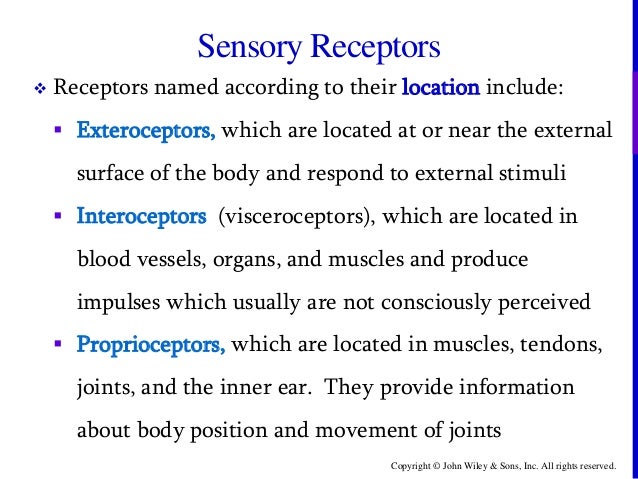 Exteroceptors And Interoceptors
