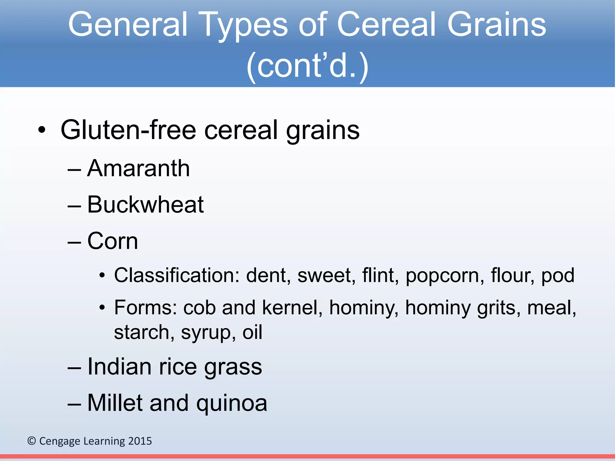 Chapter 16 - Cereal Grains and Pastas | PPTX