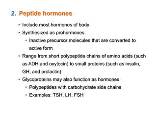 Chapter 16 - anatomy and physiology 2 class | PDF