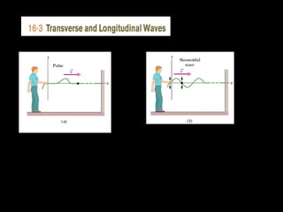 chapter 16 Wave and their Fundamentals of Waves | PPTX