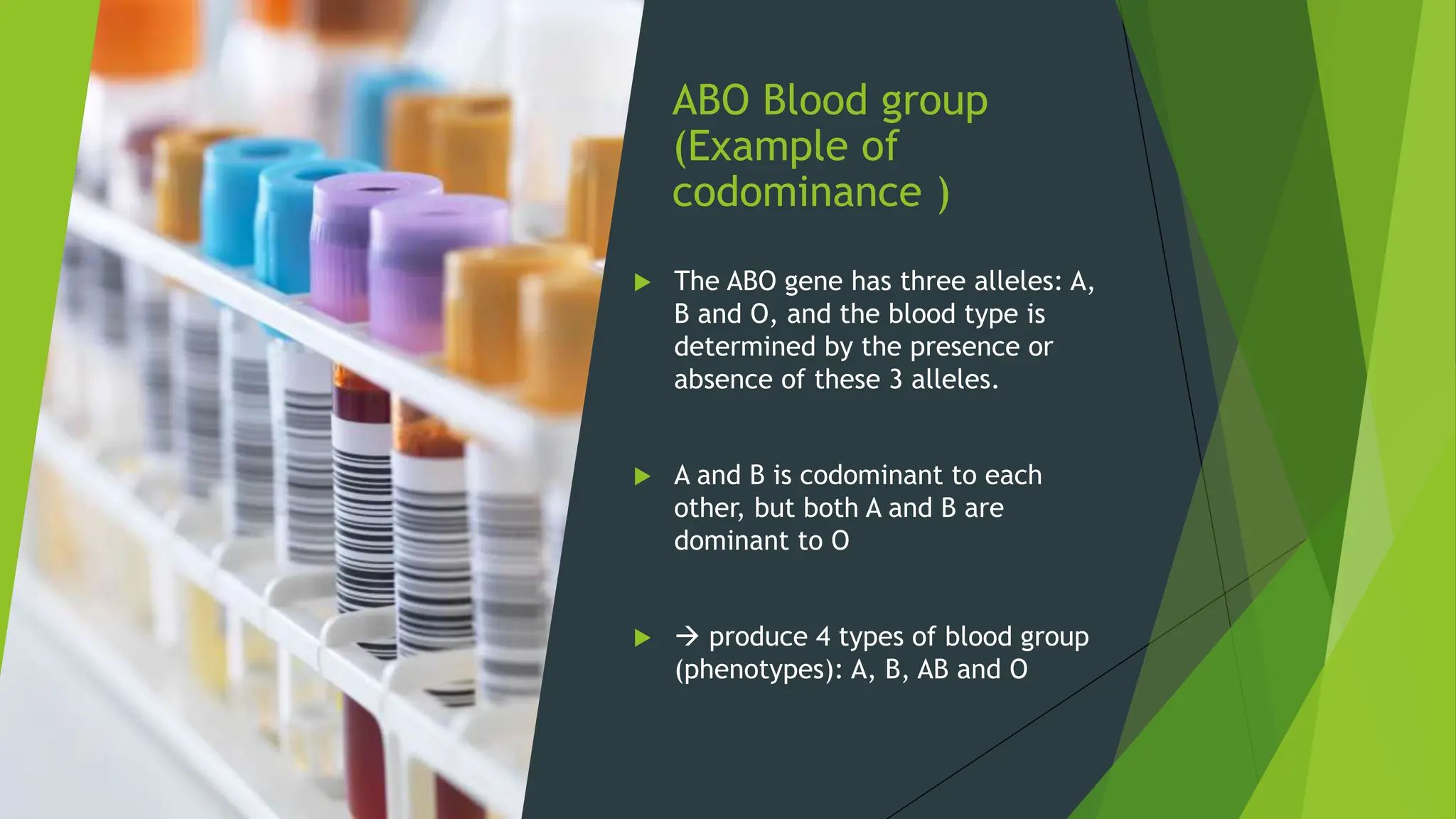 IGCSE Biology Chapter 16- Chromosomes, Genes and Proteins.pptx