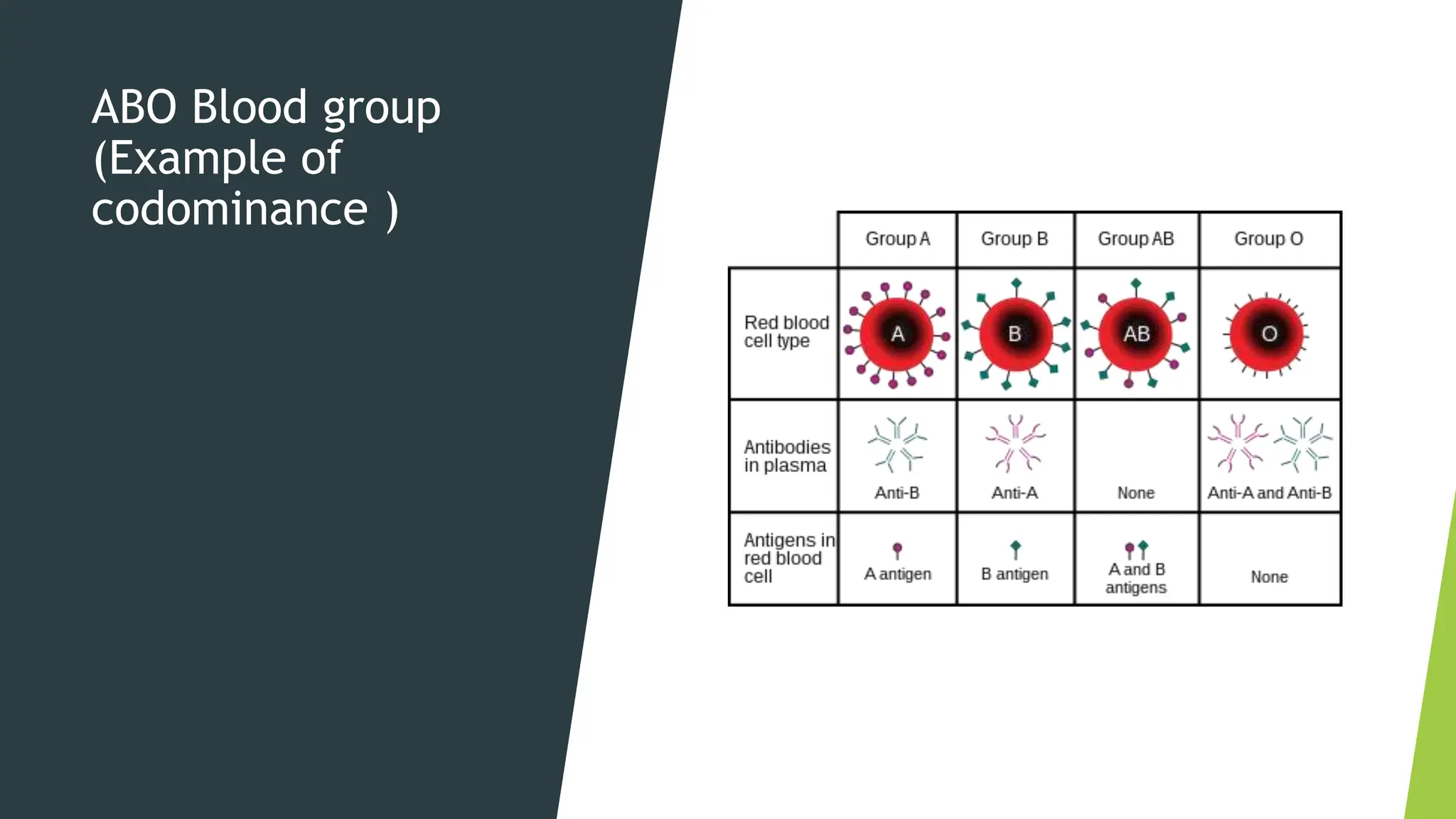 IGCSE Biology Chapter 16- Chromosomes, Genes and Proteins.pptx