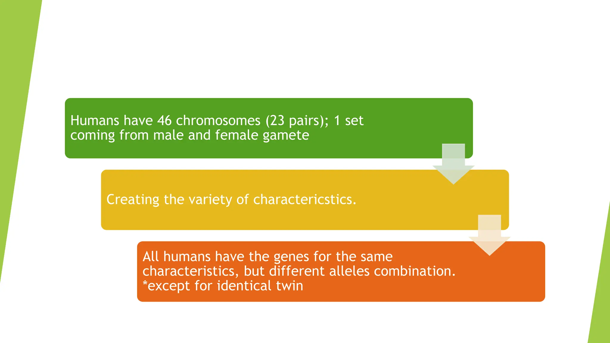 IGCSE Biology Chapter 16- Chromosomes, Genes and Proteins.pptx