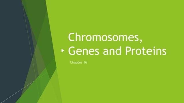 IGCSE Biology Chapter 16- Chromosomes, Genes and Proteins.pptx