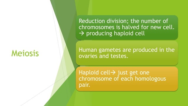 IGCSE Biology Chapter 16- Chromosomes, Genes and Proteins.pptx