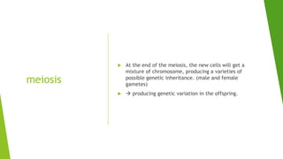 IGCSE Biology Chapter 16- Chromosomes, Genes and Proteins.pptx