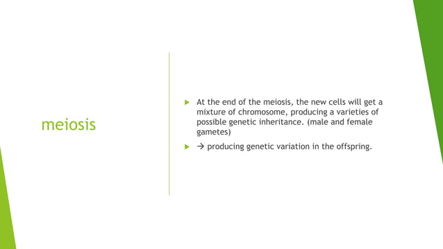 IGCSE Biology Chapter 16- Chromosomes, Genes and Proteins.pptx