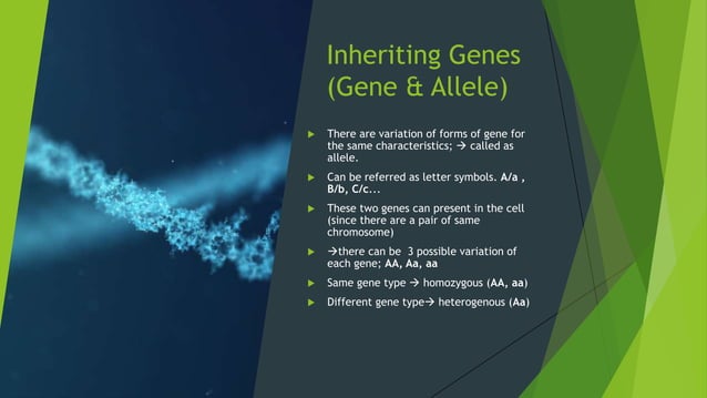 IGCSE Biology Chapter 16- Chromosomes, Genes and Proteins.pptx