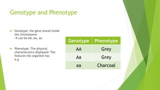 IGCSE Biology Chapter 16- Chromosomes, Genes and Proteins.pptx