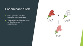 IGCSE Biology Chapter 16- Chromosomes, Genes and Proteins.pptx