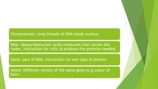 IGCSE Biology Chapter 16- Chromosomes, Genes and Proteins.pptx