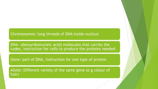 IGCSE Biology Chapter 16- Chromosomes, Genes and Proteins.pptx