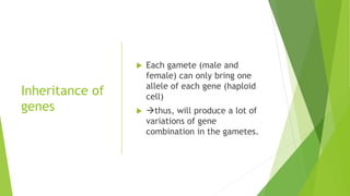 IGCSE Biology Chapter 16- Chromosomes, Genes and Proteins.pptx