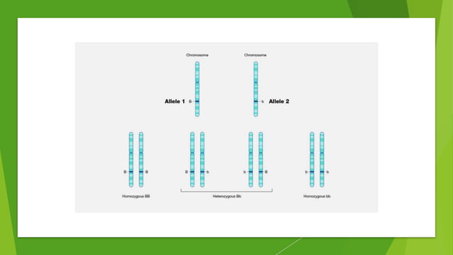 IGCSE Biology Chapter 16- Chromosomes, Genes and Proteins.pptx
