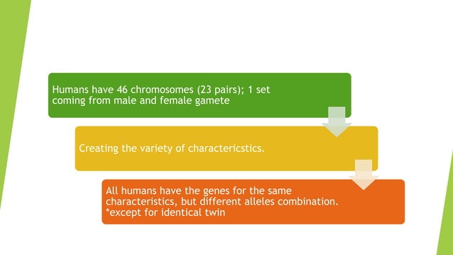 IGCSE Biology Chapter 16- Chromosomes, Genes and Proteins.pptx