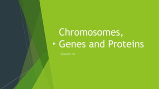 IGCSE Biology Chapter 16- Chromosomes, Genes and Proteins.pptx