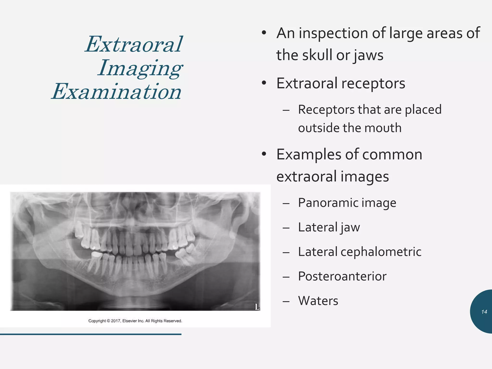 Chapter 16: Intro to Dental Imaging Examinations | PPT