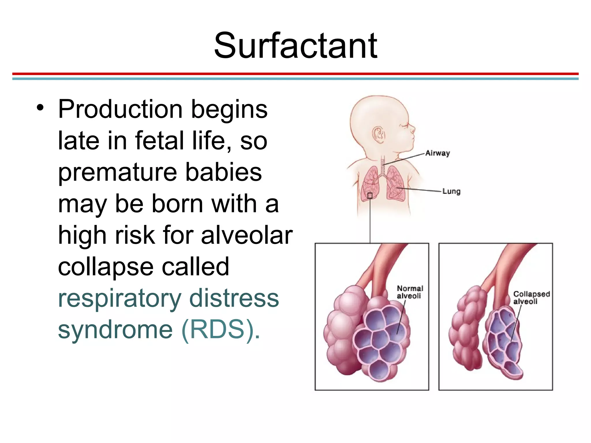 Chapter 16 lecture-1 | PPT