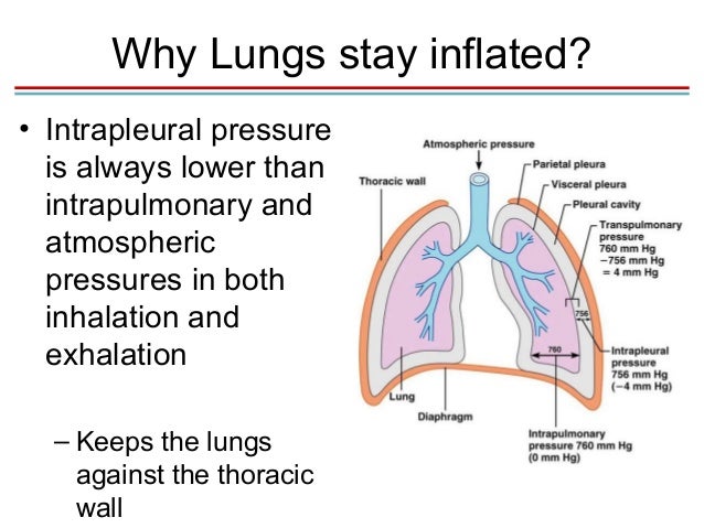 Chapter 16 lecture-1