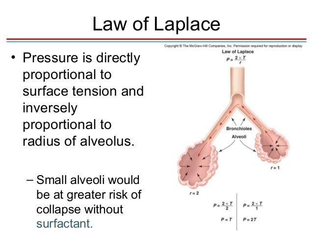 Chapter 16 lecture-1