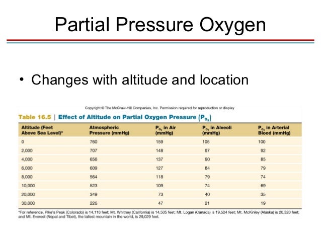 Chapter 16 lecture-1