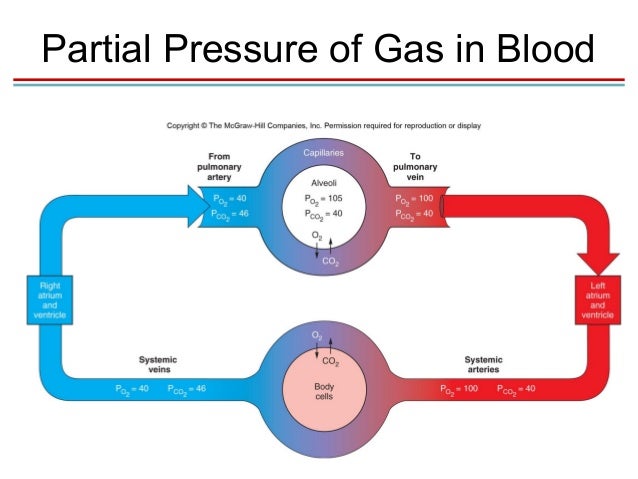 Chapter 16 lecture-1