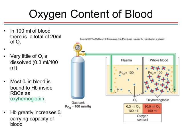 Chapter 16 lecture-1