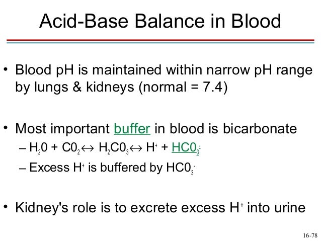 Chapter 16 lecture-1