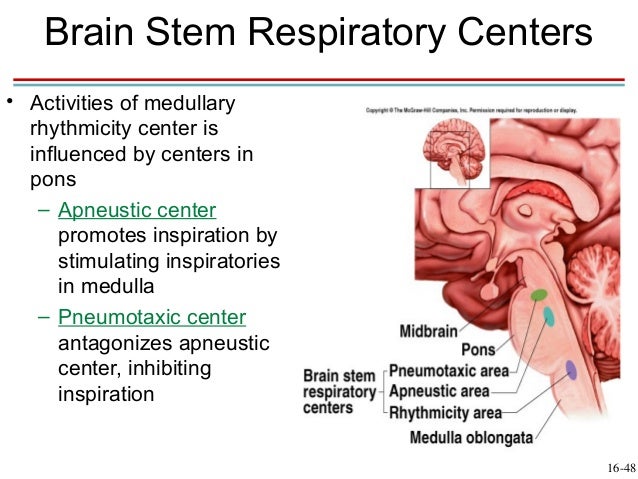 Chapter 16 lecture-1