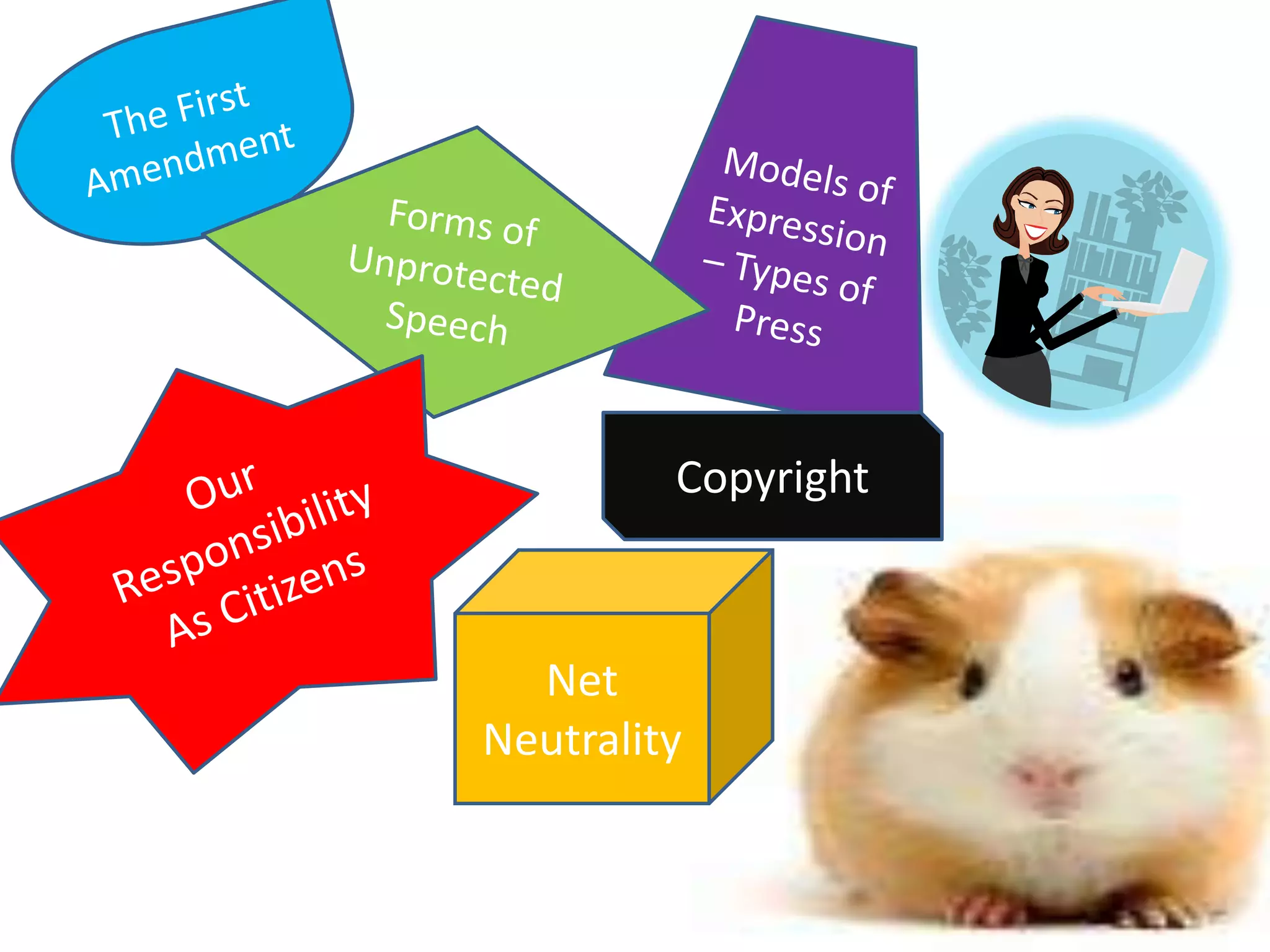 Chapter 16 – Legal Controls | PPTX