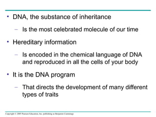 The Molecular Basis of Inheritance: DNA Structure and Replication | PPT