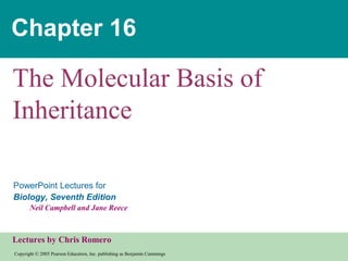 Chapter 16 molecular inheritance | PPT