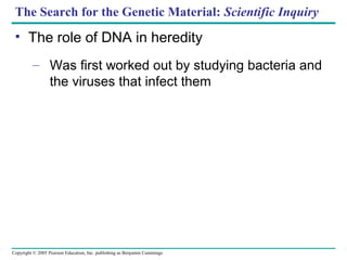 Chapter 16 molecular inheritance | PPT